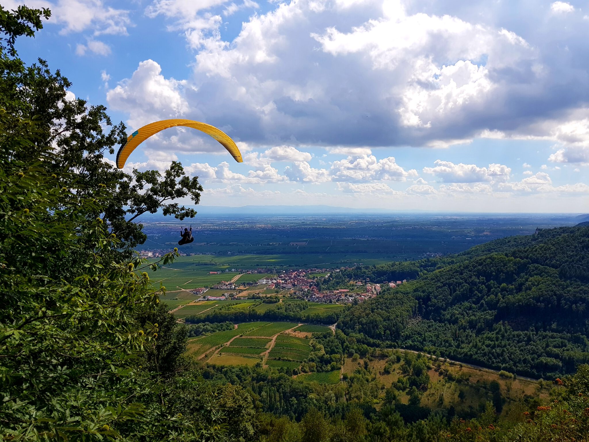 Fantastische Aussichten am Haardt-Rand – Pfälzerwald-Verein Speyer